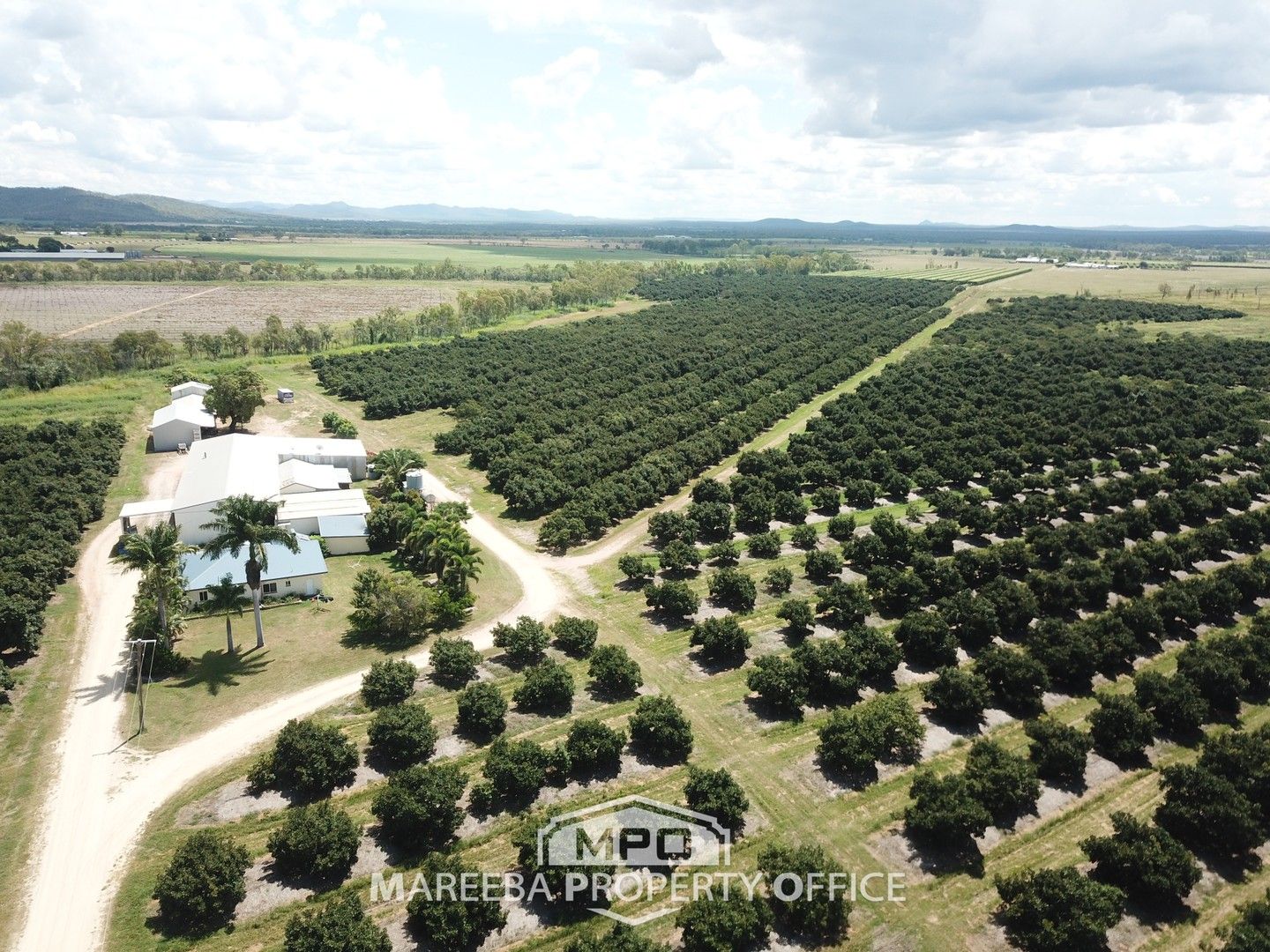 221, 262 Mutchilba Road, Mutchilba QLD 4872 - House for Sale | Domain