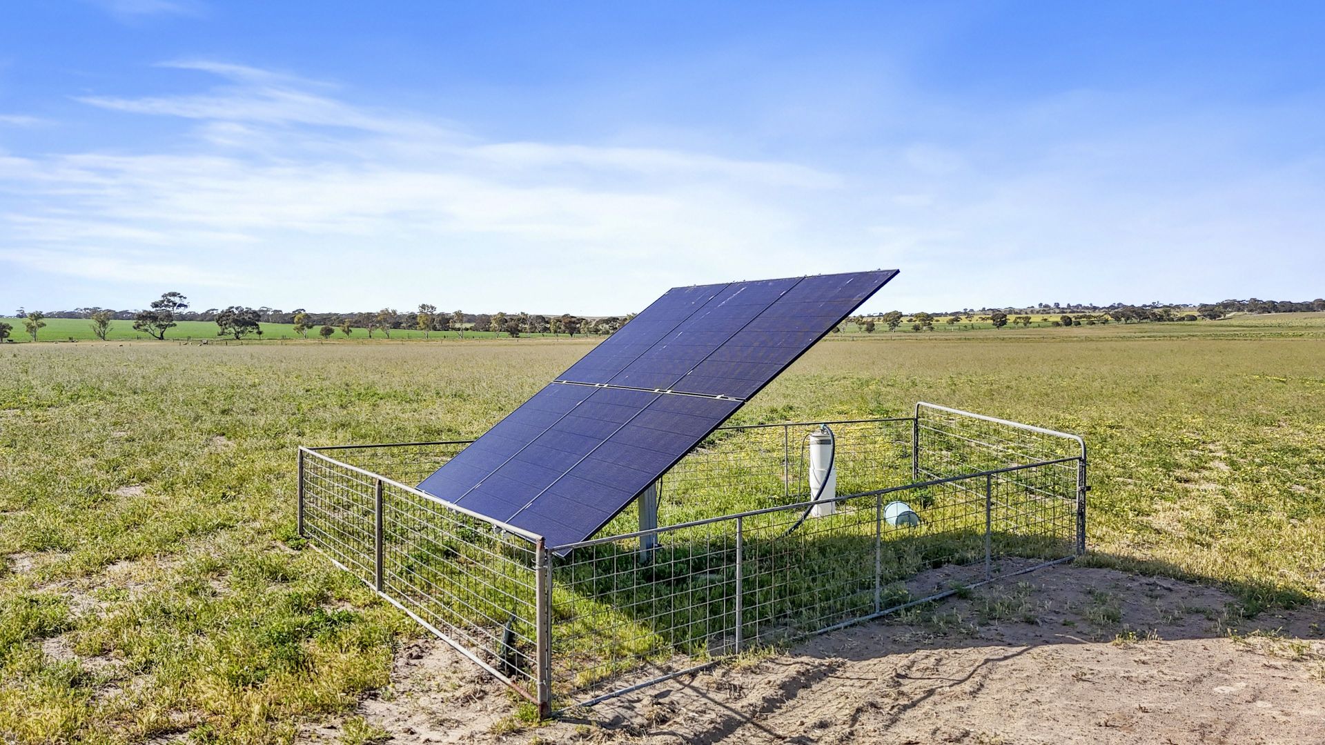 4910 Mallee Highway, Peake SA 5301 - Farm for Sale | Domain