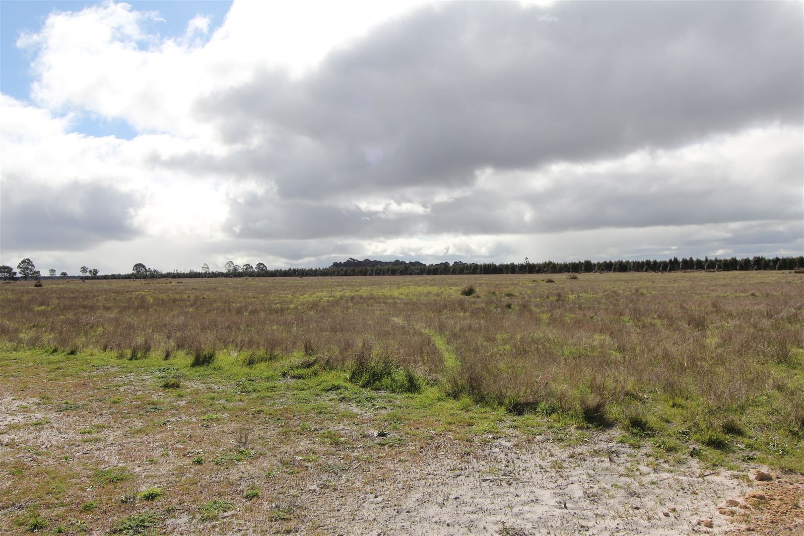 . 10 Lots, Wattle Range SA 5280 - Farm for Sale | Domain