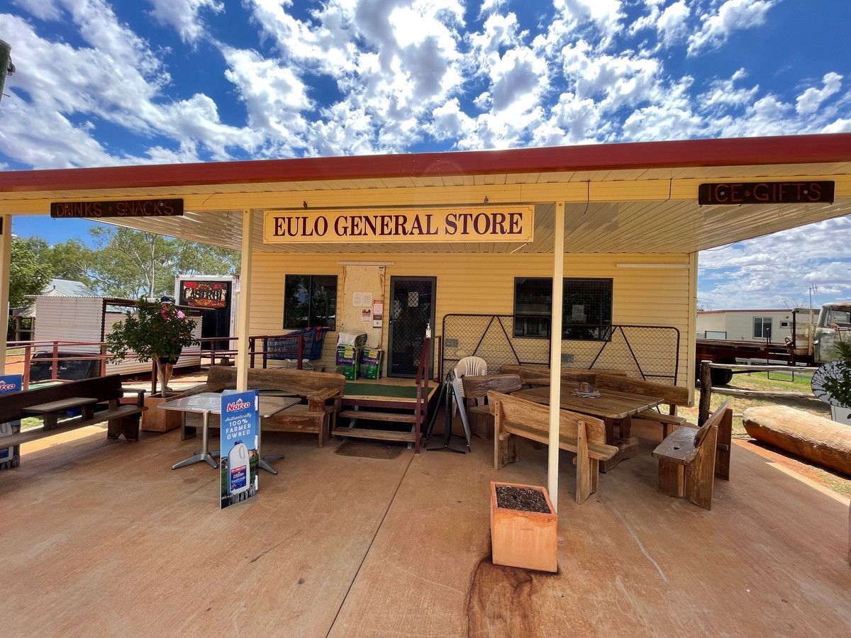 6 Leo Street, Eulo QLD 4491 | Domain