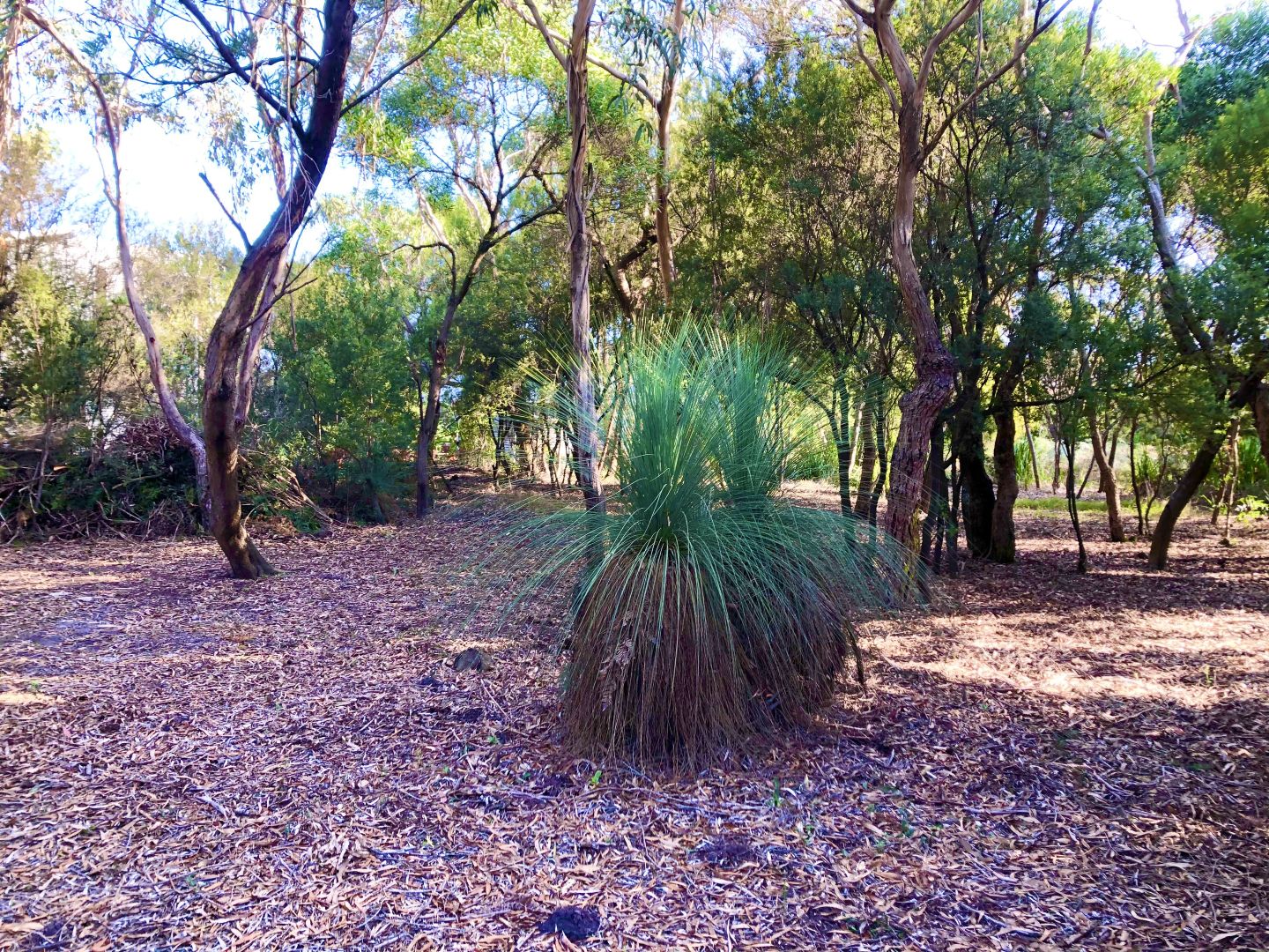 1 Heathlands Dr, Port Welshpool VIC 3965 | Domain