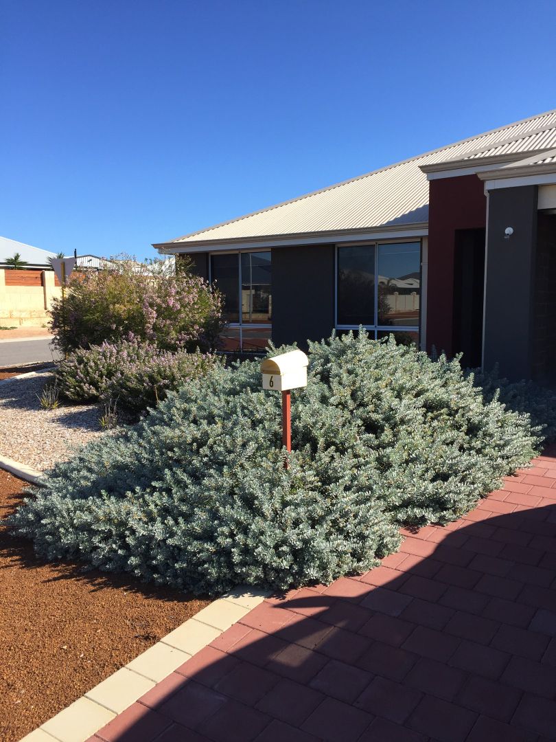 6 Juliet Terrace, Wandina WA 6530 - House For Rent - $540 | Domain