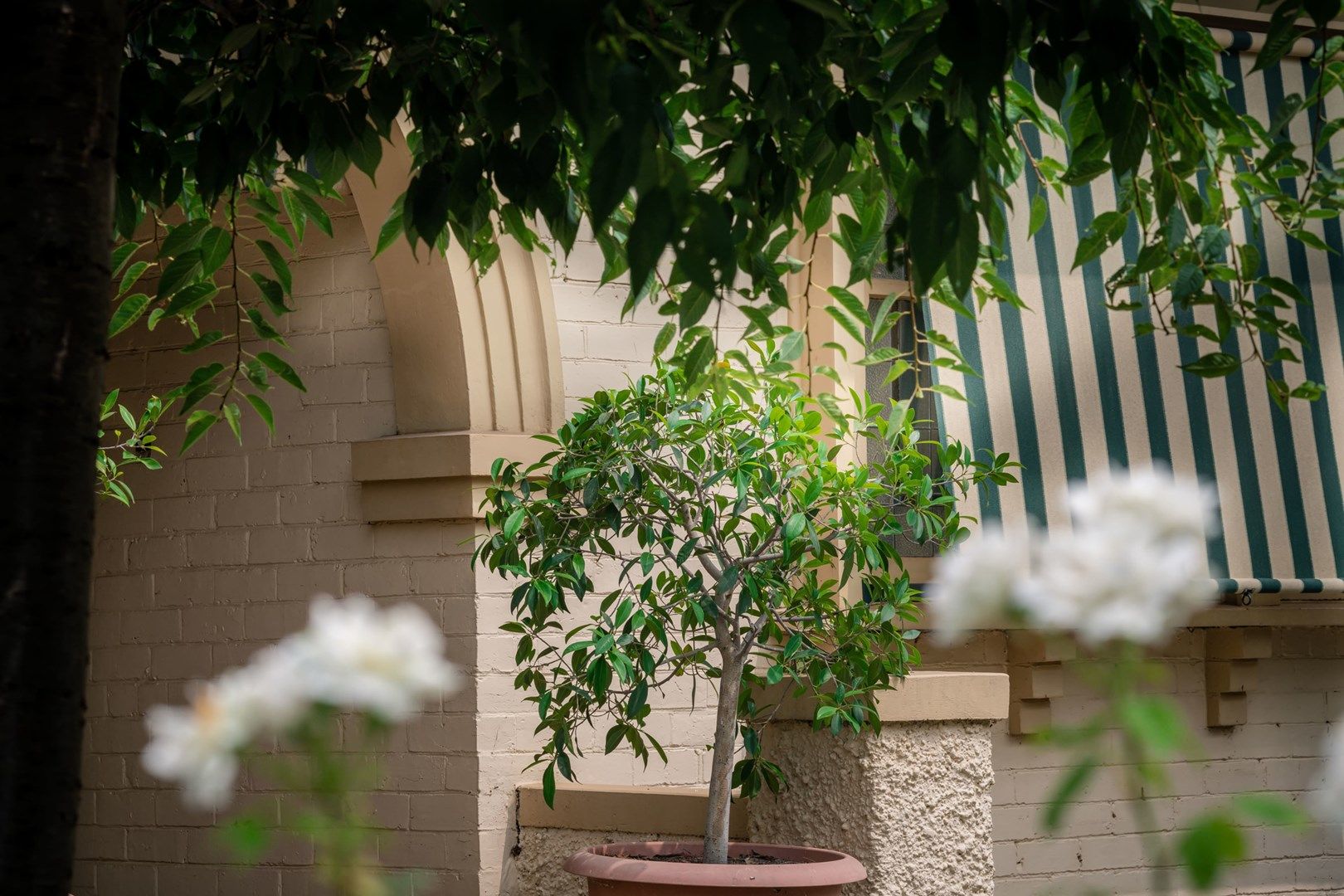 687 Jones Street, Albury | Property History & Address Research | Domain