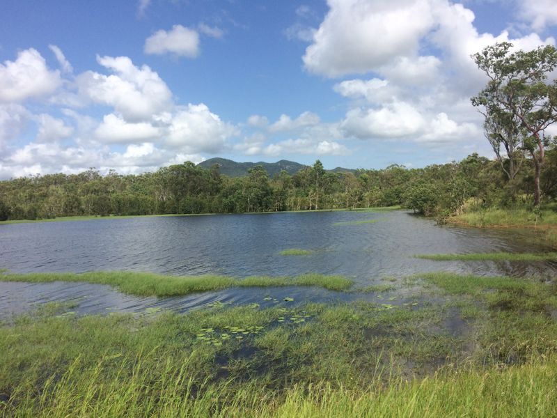 Bowen QLD 4805 - Farm for Sale - $2,250,000 | Domain