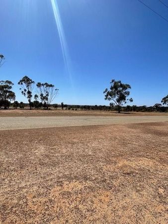 70 Sirius Street, Southern Cross WA 6426 | Domain