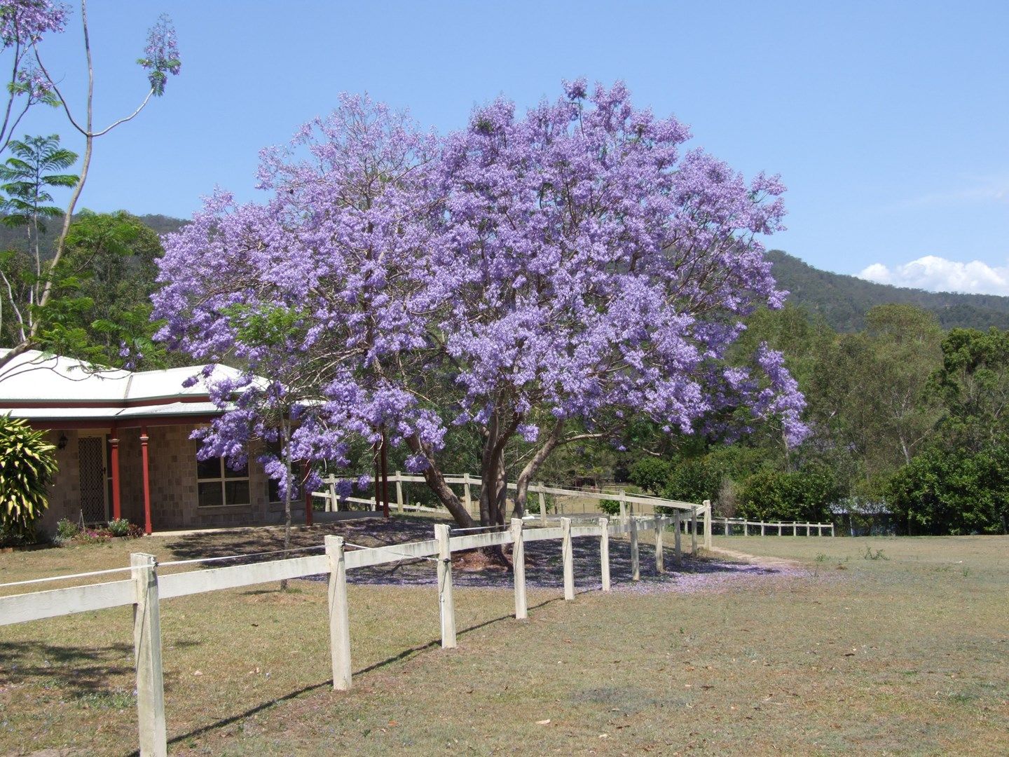 Sold 5 Caningera, Wonglepong QLD 4275 on 20 Nov 2015 - 2011877543 | Domain