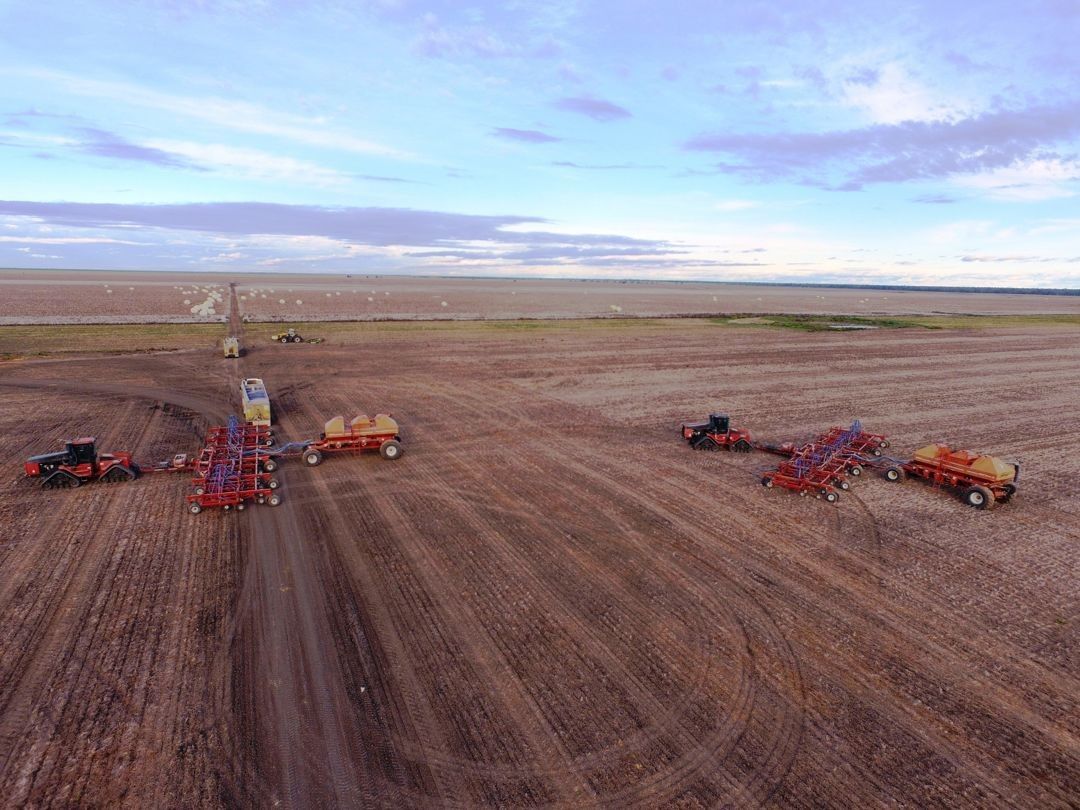 CHELSEA, Garah NSW 2405 - House for Sale | Domain