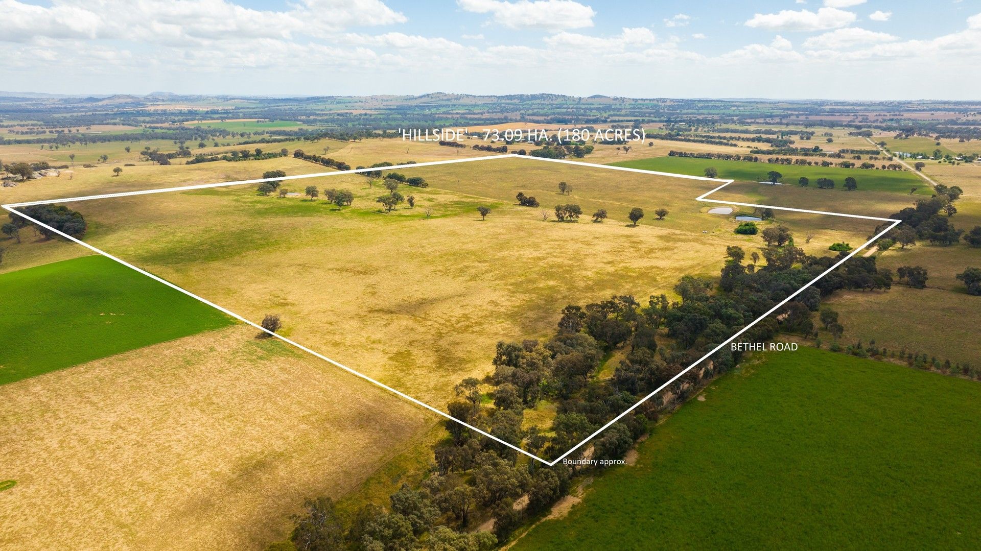 'Hillside'/876 Bethel Road, Glenellen NSW 2642 - House for Sale