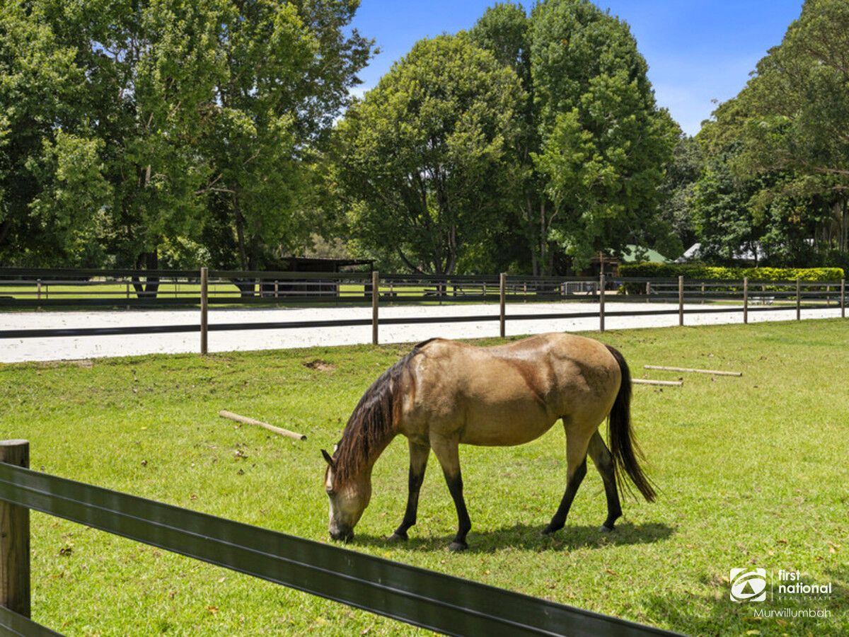 14 Adcocks Road, Stokers Siding NSW 2484 | Domain