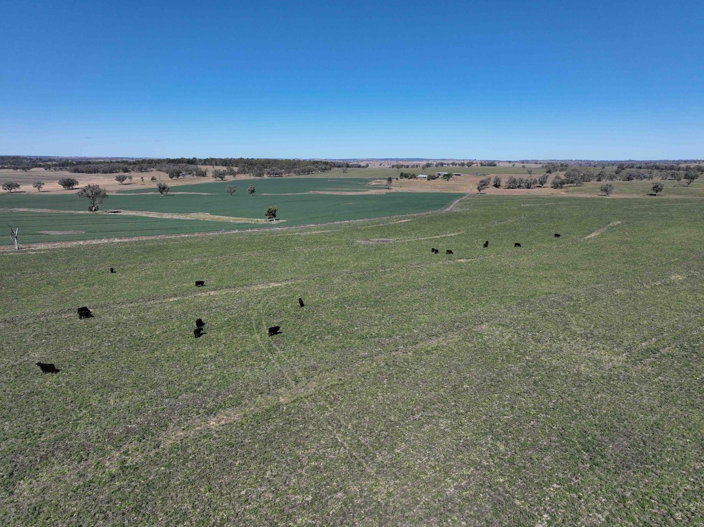 Burmah Aggregation, Burmah Road, Graman NSW 2360 - House for Sale