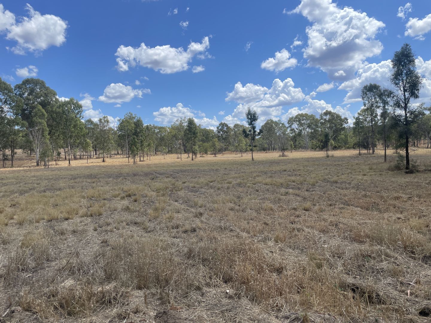 0 Radio Station Road, Eidsvold QLD 4627 - House for Sale - $500,000