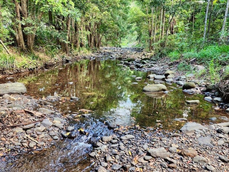 3 Shady Lane, Diamond Valley QLD 4553 | Domain