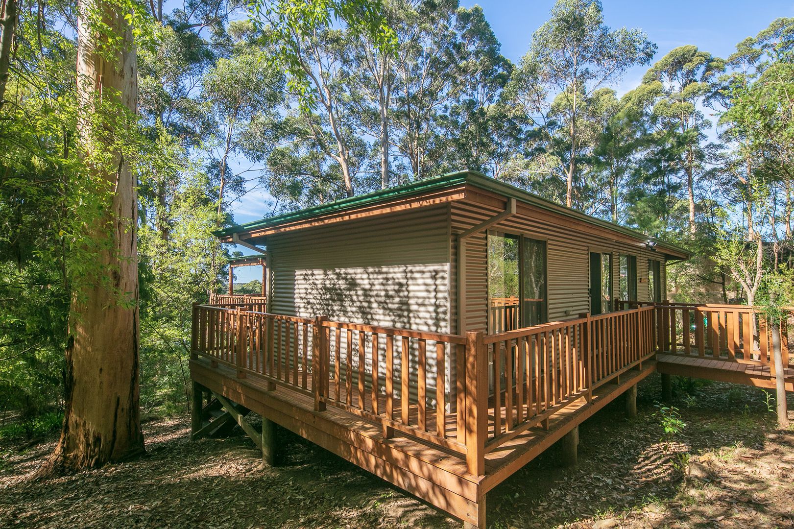 31 Gilbert Avenue, Denmark WA 6333 | Domain