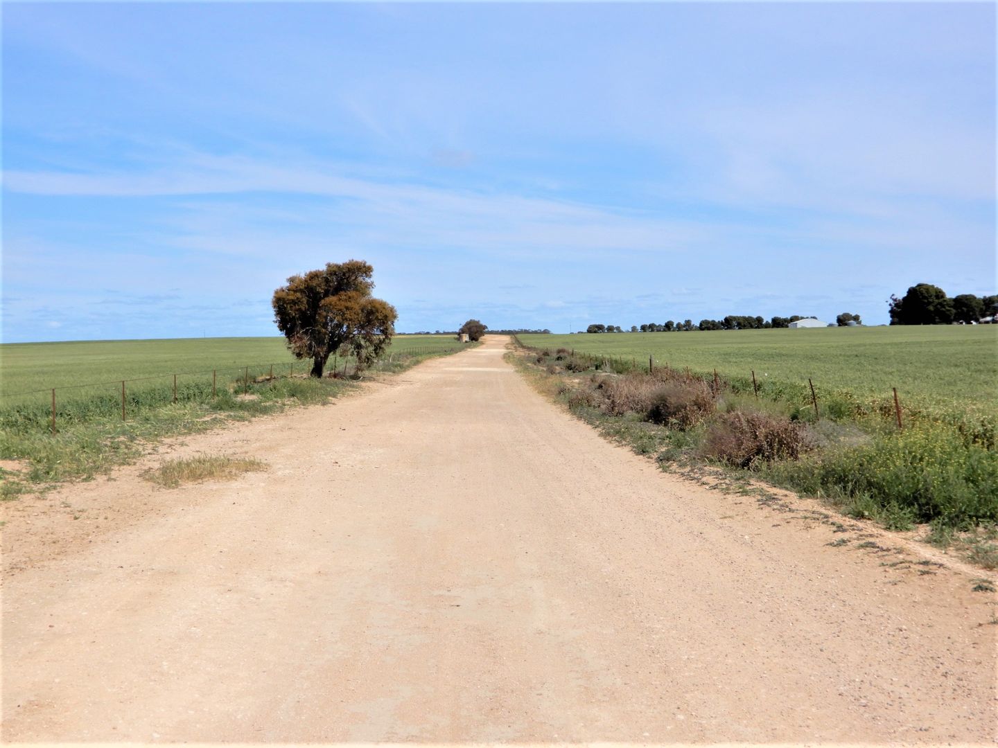 677 Pillar Road, Lameroo SA 5302 - House for Sale | Domain