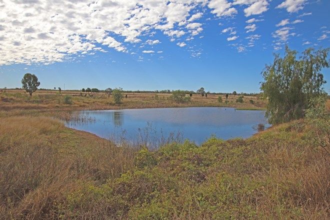 588 Real Estate Properties for Sale in Goovigen, QLD, 4702 | Domain