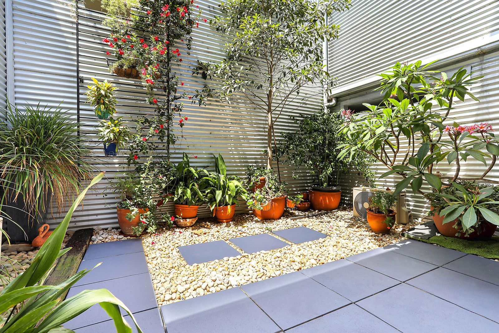 235A Cope Street, Waterloo NSW 2017 - Apartment For Rent | Domain