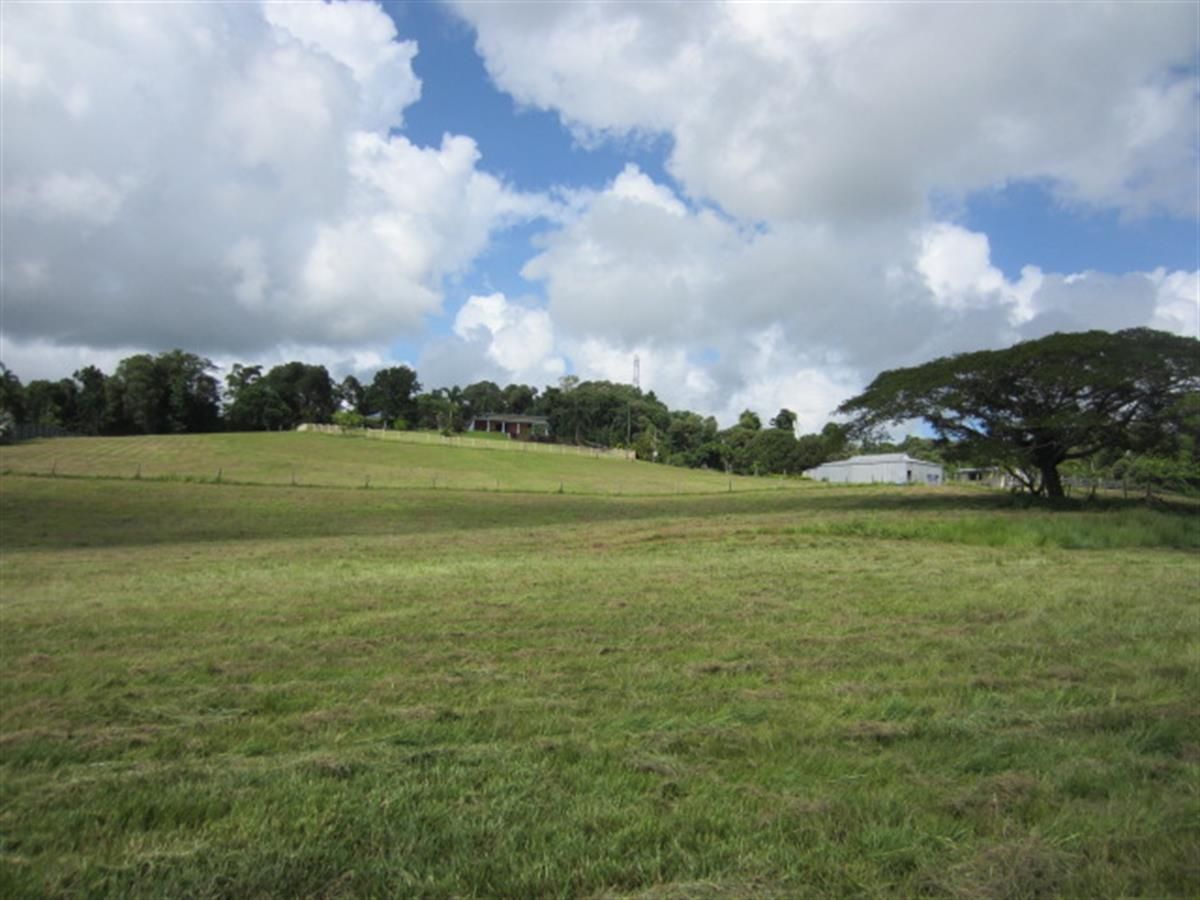 79 Fitzgerald Creek Road, Upper Daradgee | Property History & Address ...