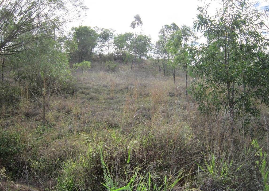 176 RIFLE RANGE ROAD, Walterhall QLD 4714 | Domain