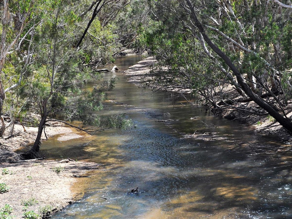 1373 Wolfram Road, Dimbulah QLD 4872 - House for Sale - $1,150,000