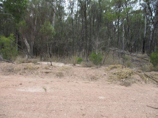 287 Happy Lane, Tara QLD 4421 - House for Sale | Domain