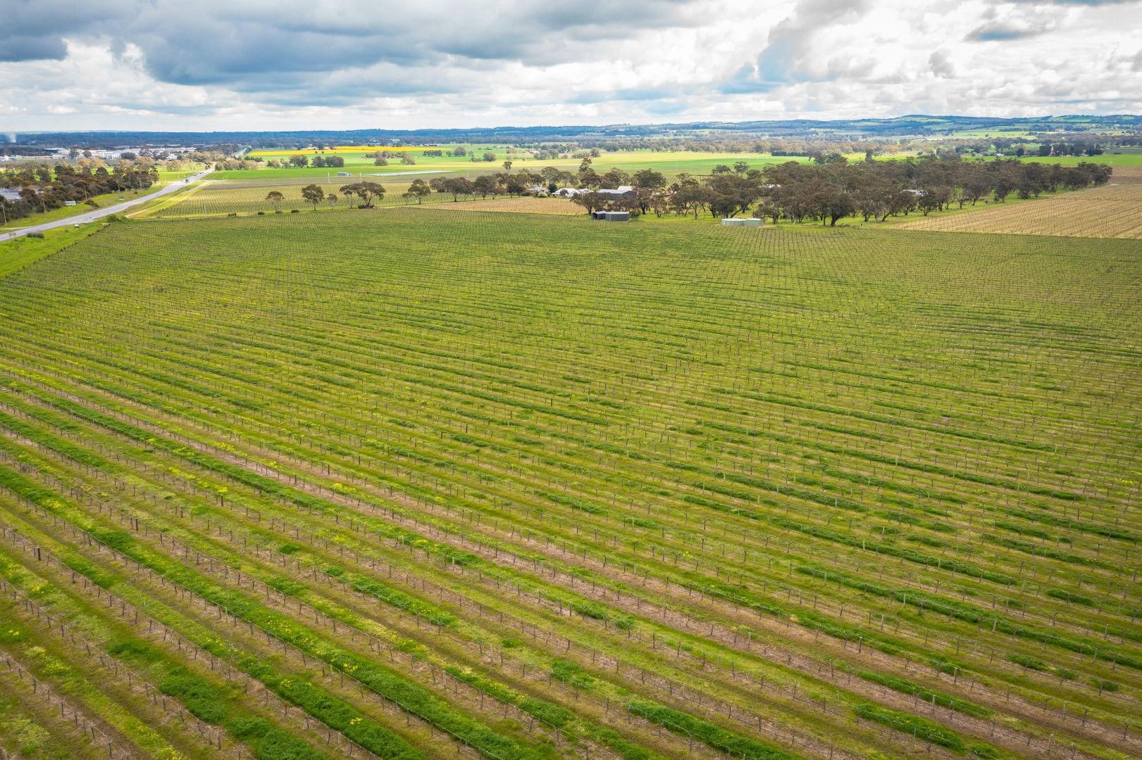 Lot 159 - 160 Sturt Highway, Stockwell SA 5355 - Viticulture Property ...