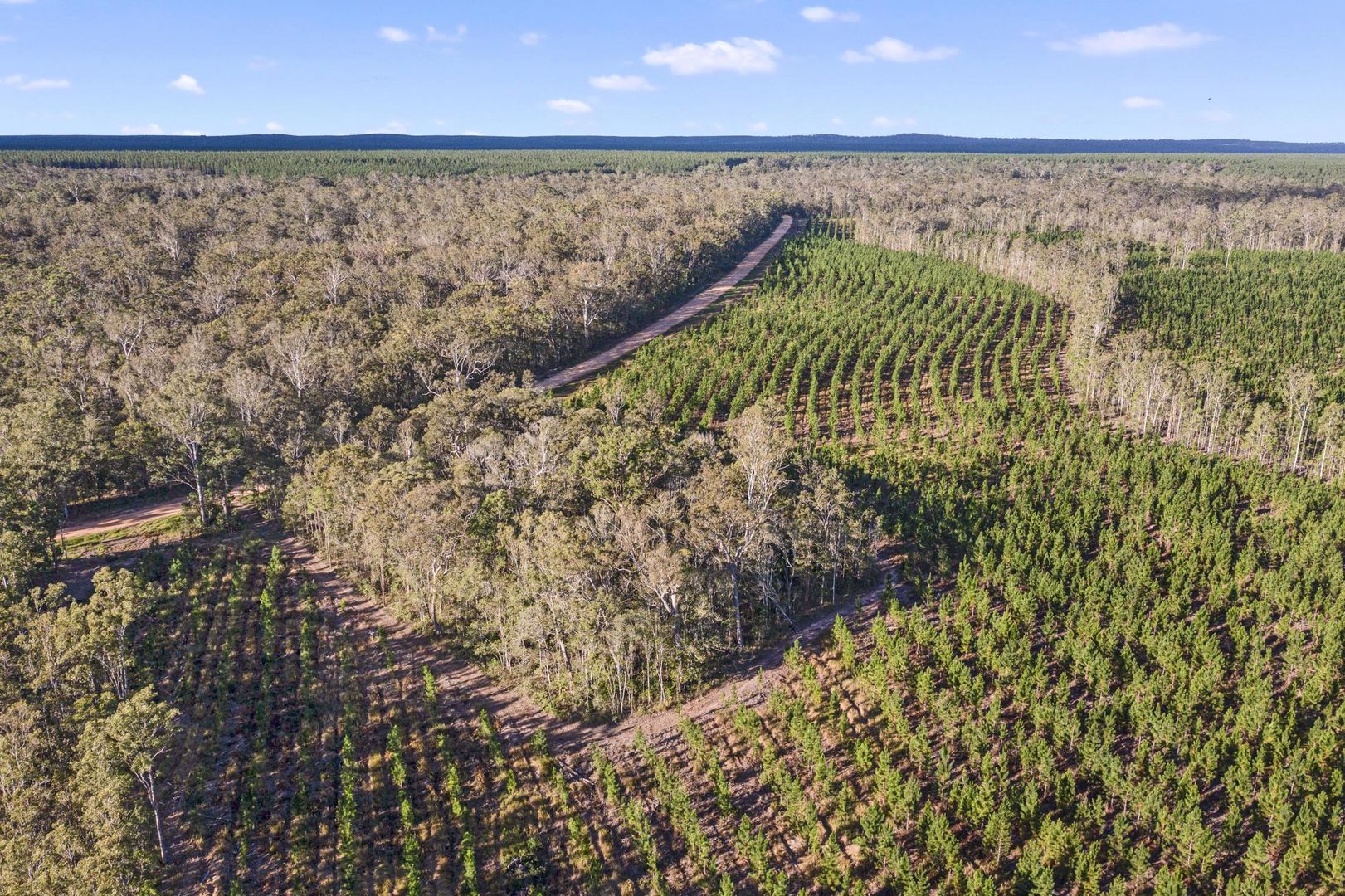Lot 169 Forestry Road, Bauple Forest | Property History & Address ...