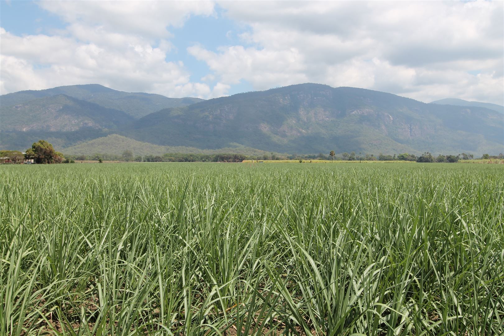 222 Link Road, Mount Surround | Property History & Address Research ...