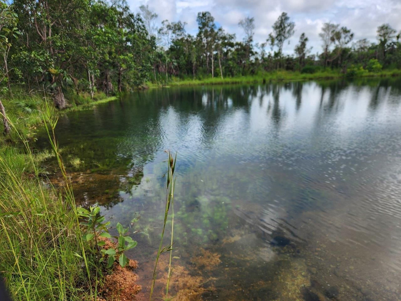 4545 Fog Bay Road, Dundee Forest NT 0840 - House for Sale | Domain