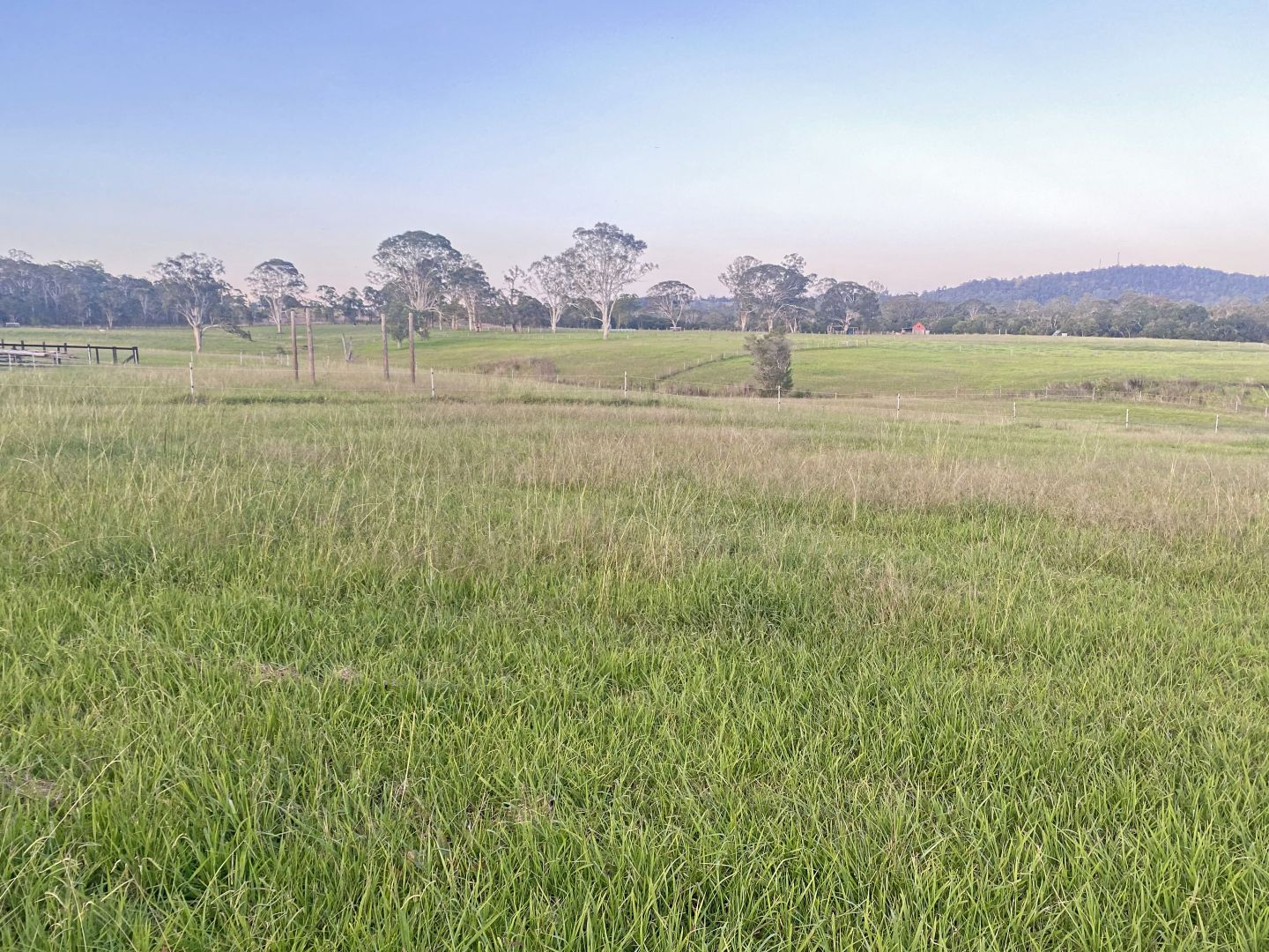 256 Comboyne Road, Wingham NSW 2429 - House for Sale | Domain