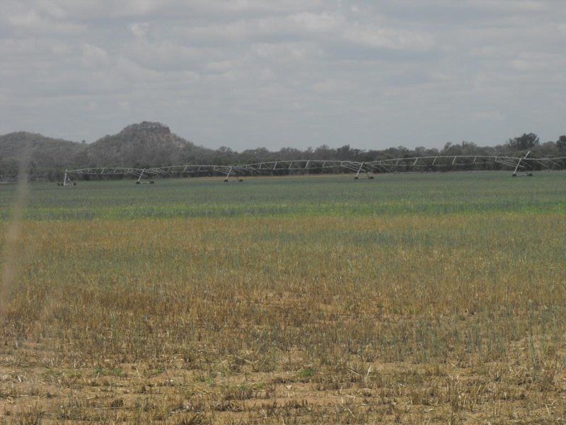 826 Dee River Road, Dululu | Property History & Address Research | Domain