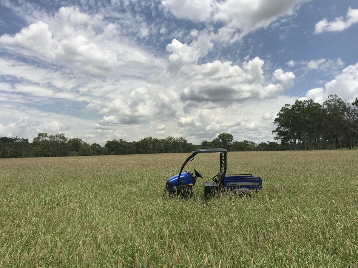 287 Brickworks Road, Bushley | Property History & Address Research | Domain