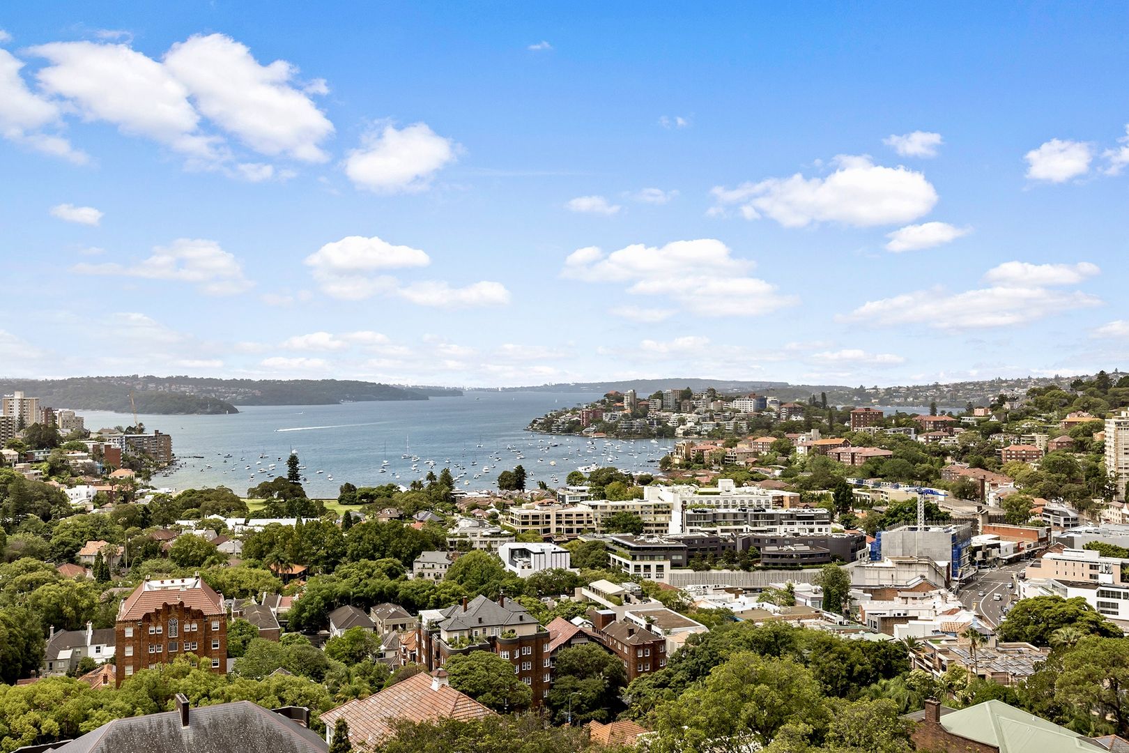 29/442-446 Edgecliff Road, Edgecliff | Property History & Address ...