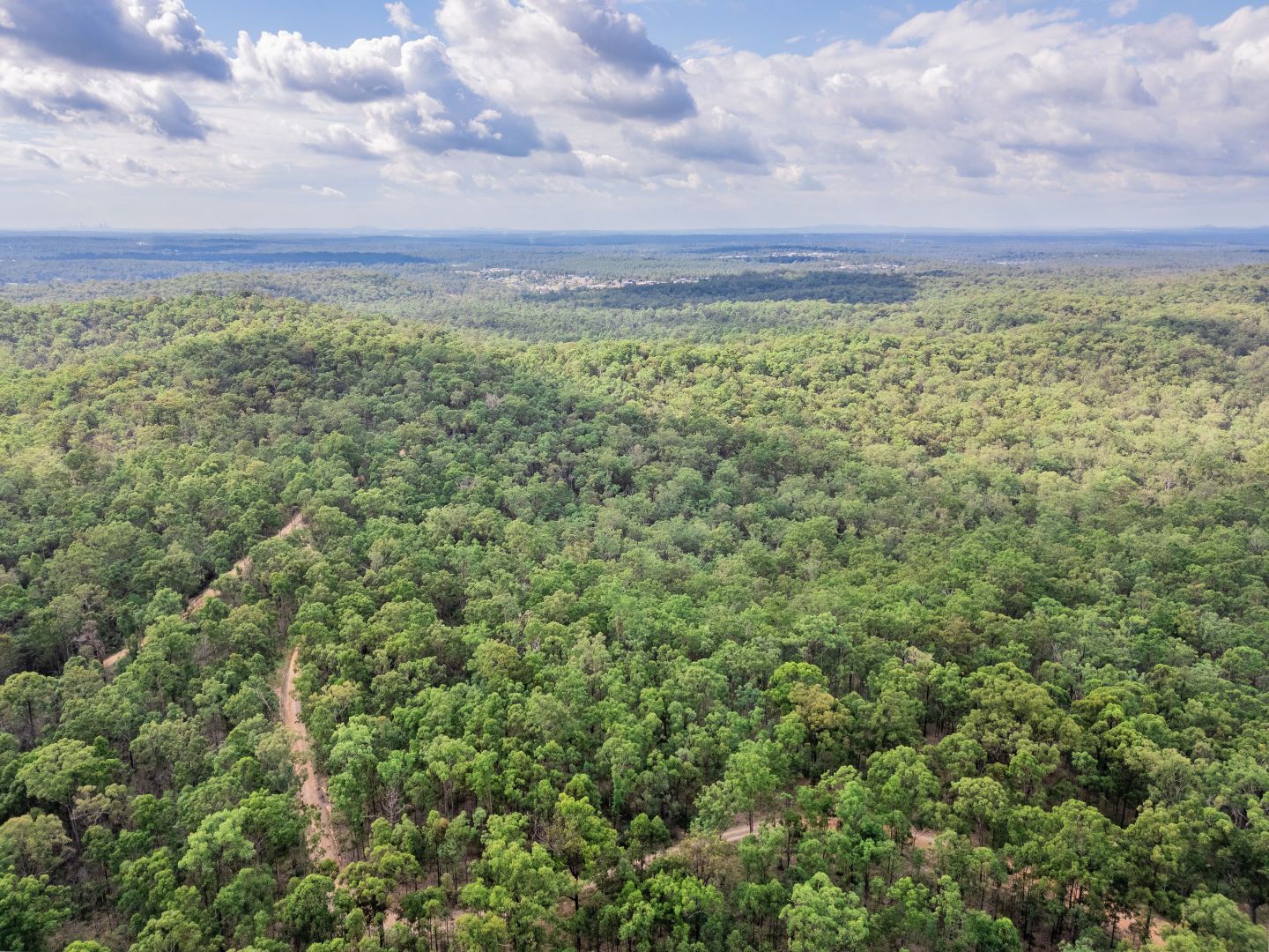 Lot 24 Unnamed Road, Spring Mountain QLD 4300 | Domain