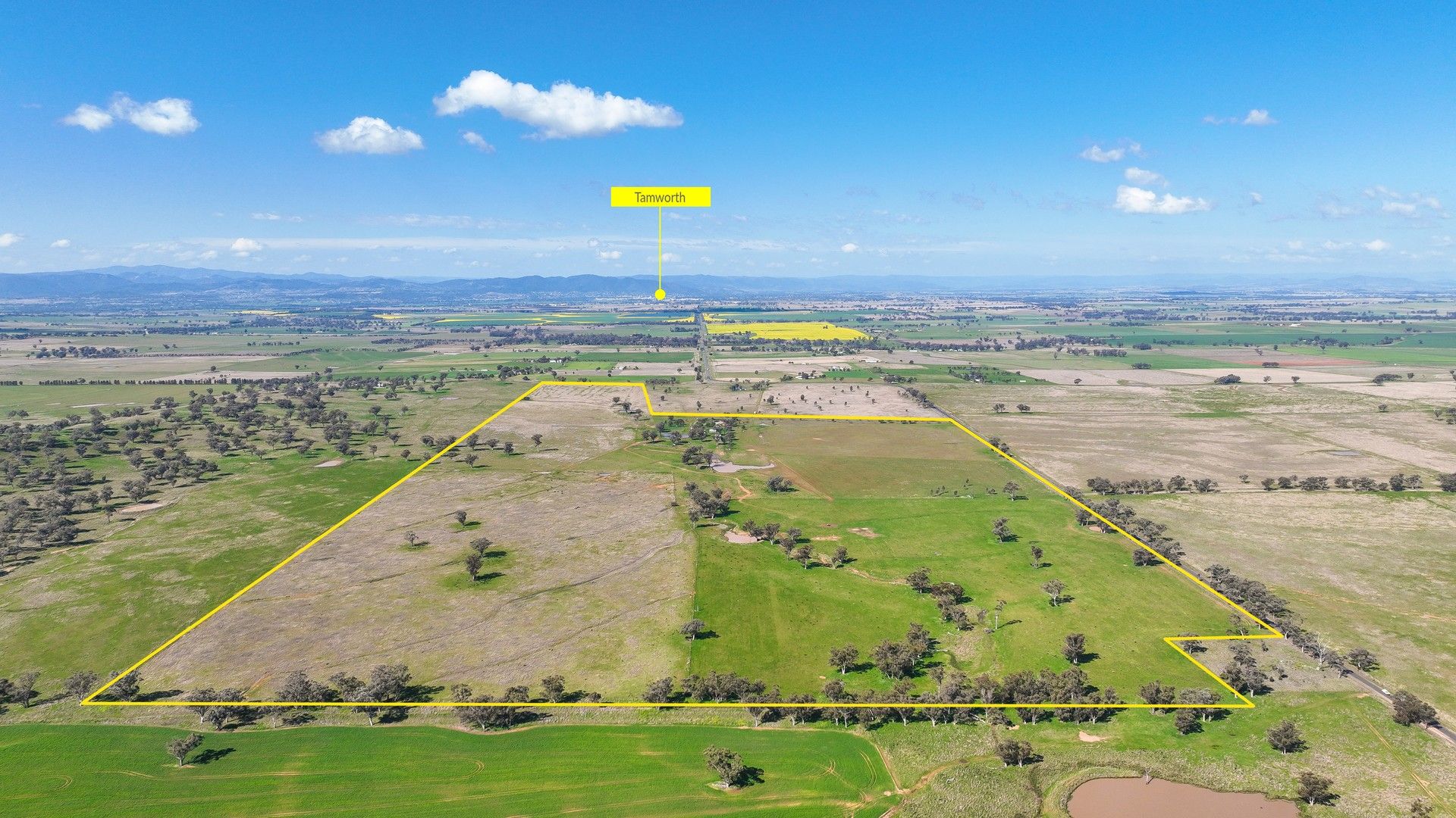 1174 New Winton Road, Tamworth NSW 2340 - Farm for Sale | Domain