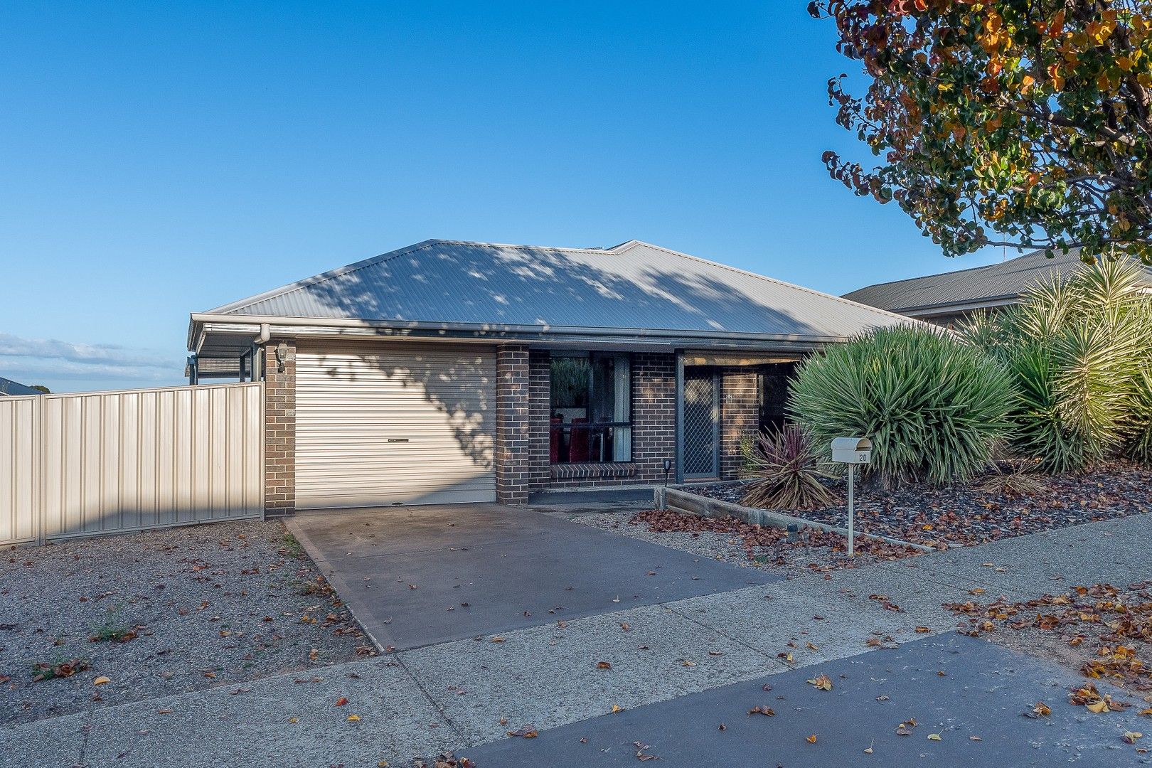 20 Waterlily Terrace, Murray Bridge SA 5253 | Domain