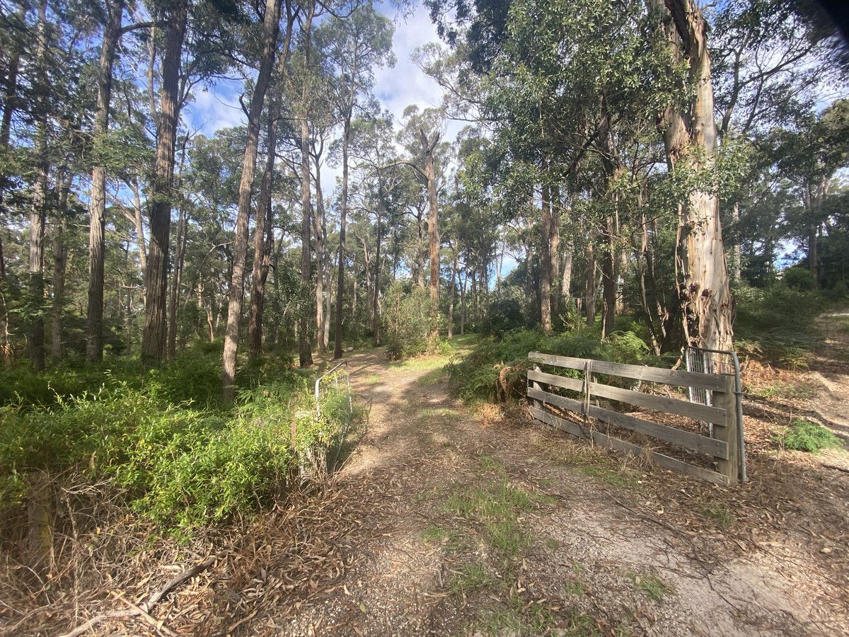 24D Mill Point Road, Toorloo Arm VIC 3909 | Domain