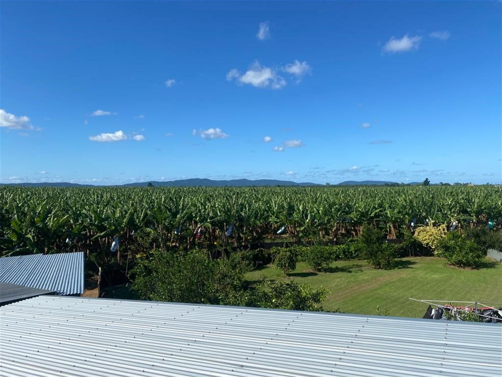 88 South Johnstone Rd, Boogan QLD 4871 - Horticulture Property for Sale