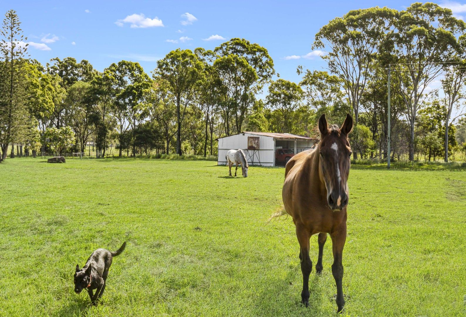 Sold 194 Beachmere Road, Caboolture QLD 4510 on 13 Apr 2024 ...