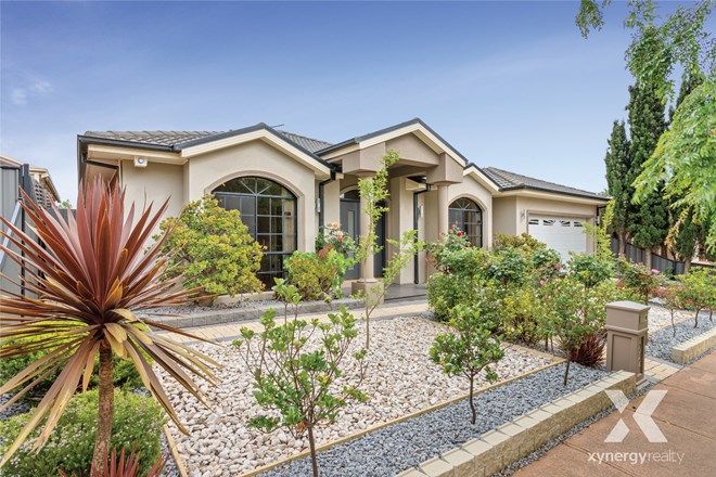 3118 Houses for Sale in Point Cook, VIC, 3030 | Domain