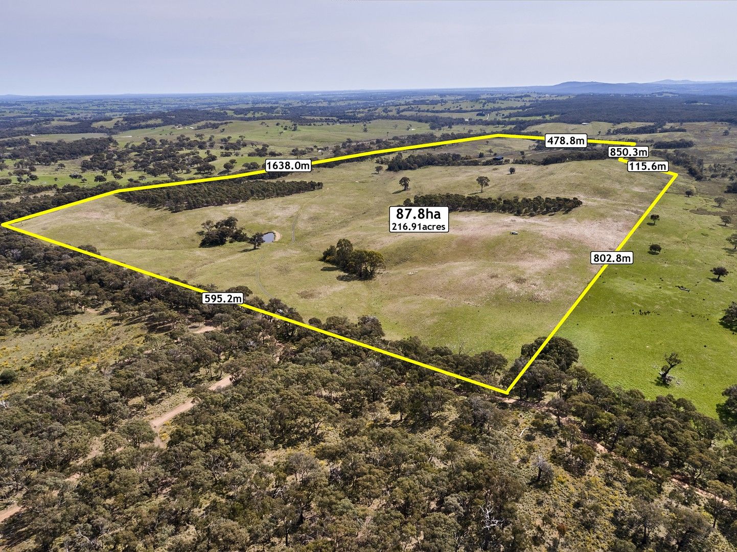 204 Hayes Gully Road, Tooborac VIC 3522 | Domain