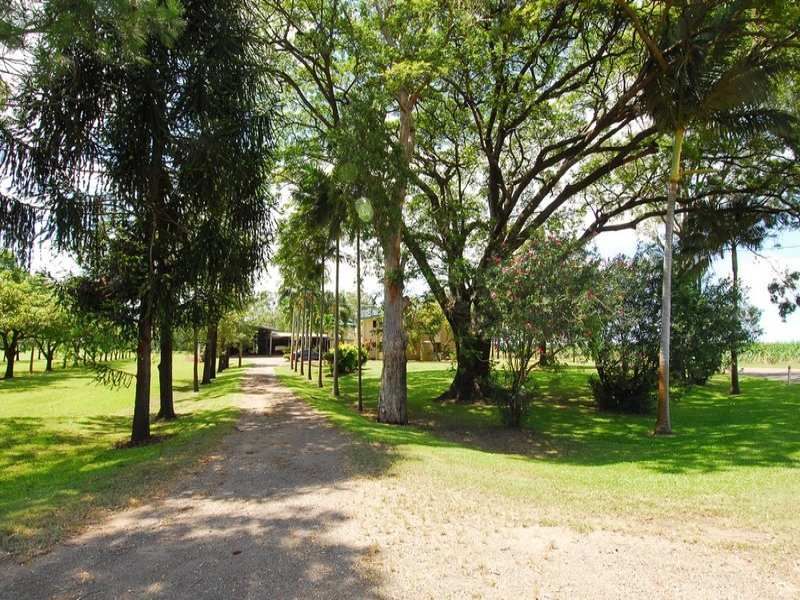 Mount Surround QLD 4809 - House for Sale | Domain