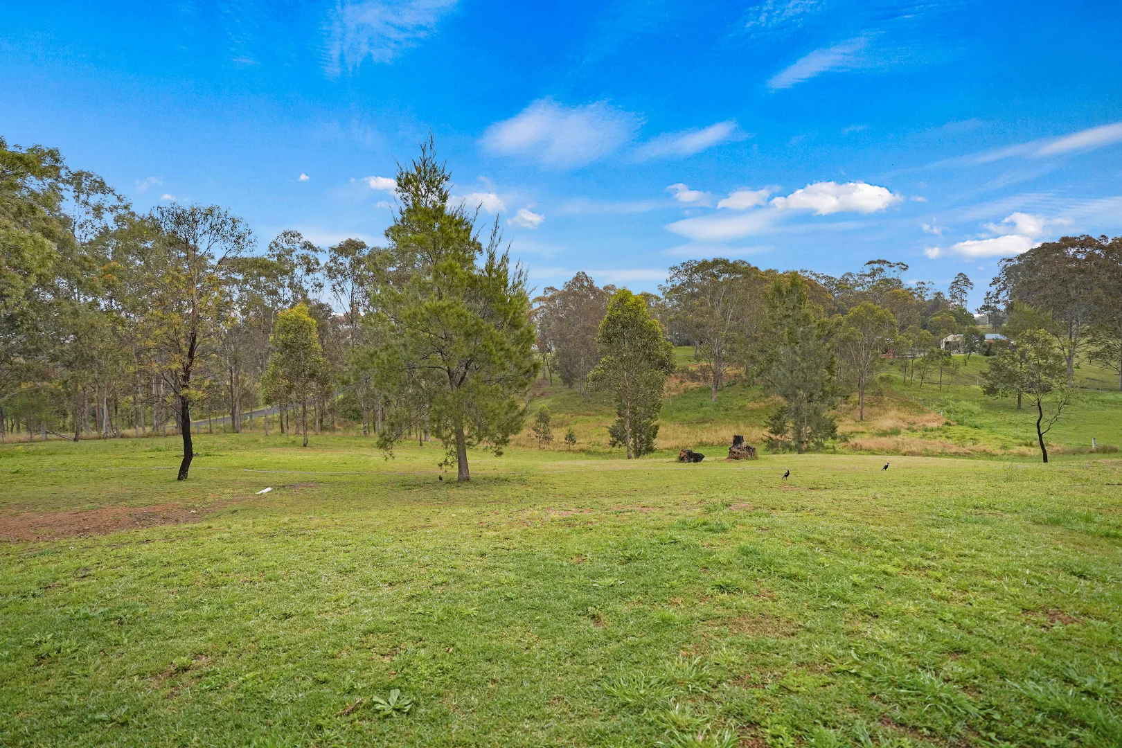 21A Retreat Road, Singleton NSW 2330 - House For Rent | Domain
