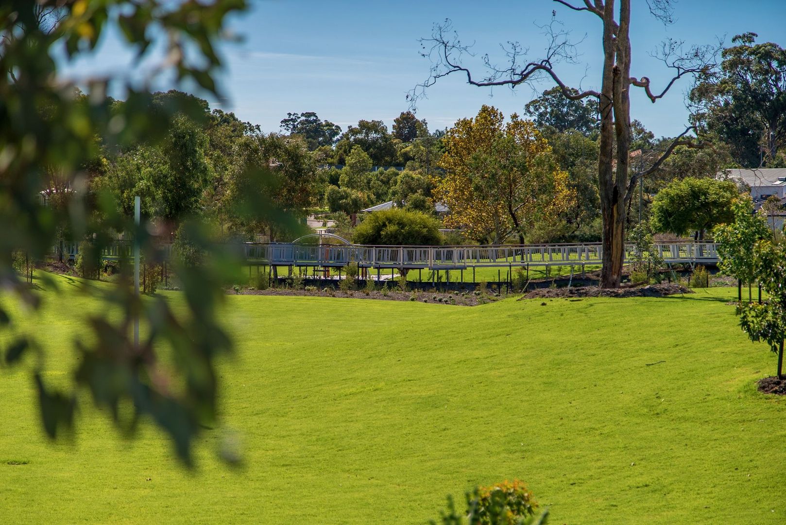 10 Amberley Drive, Baldivis WA 6171 | Domain