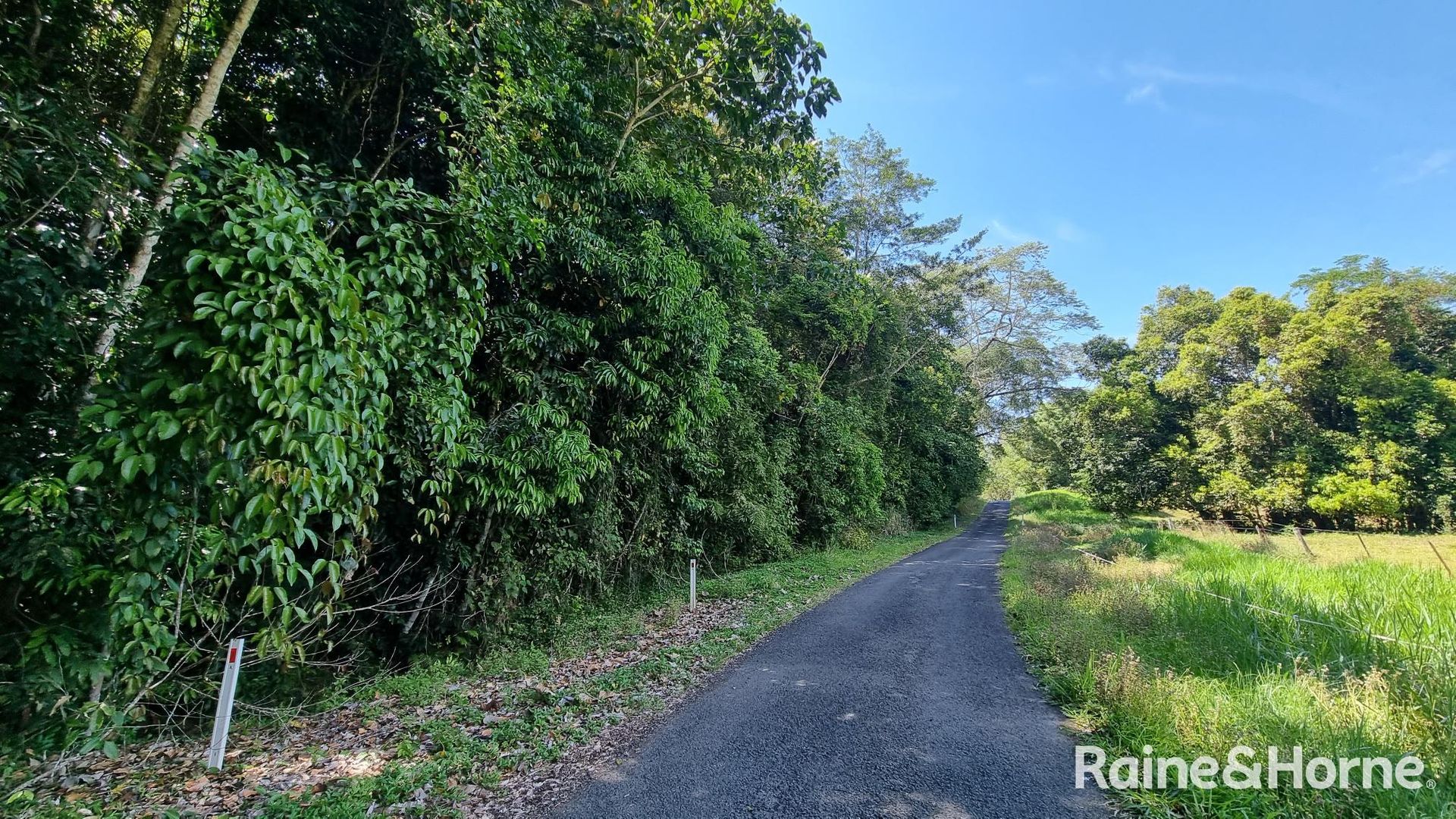 Lot 3 Sides Road, Julatten QLD 4871 | Domain