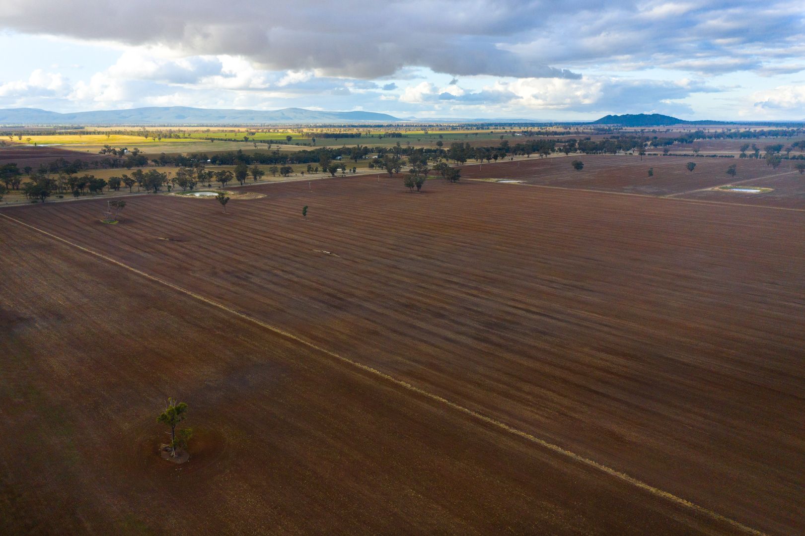3397 Bribbaree Road, Bribbaree | Property History & Address Research ...