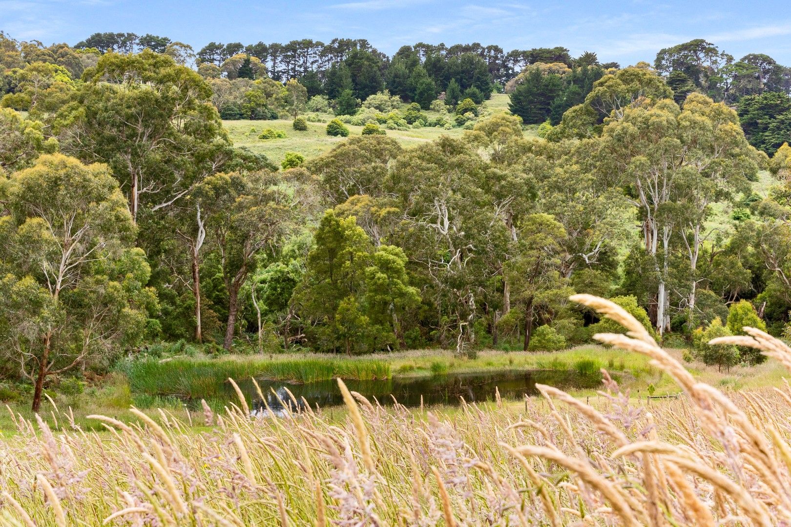 85 Punty Lane, Shoreham VIC 3916 - House for Sale | Domain