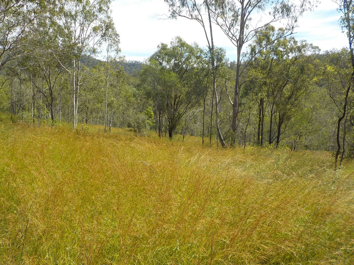 21 E. Claxton Road, Kolonga | Property History & Address Research | Domain