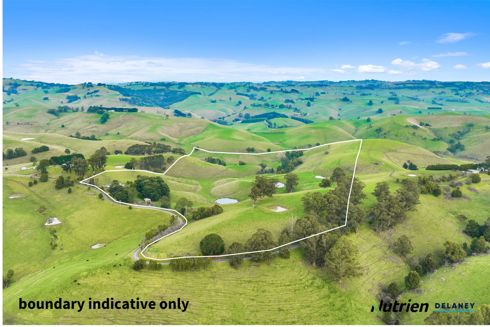 295 Mountain View-McDonalds Track, Mountain View VIC 3988 - House for Sale