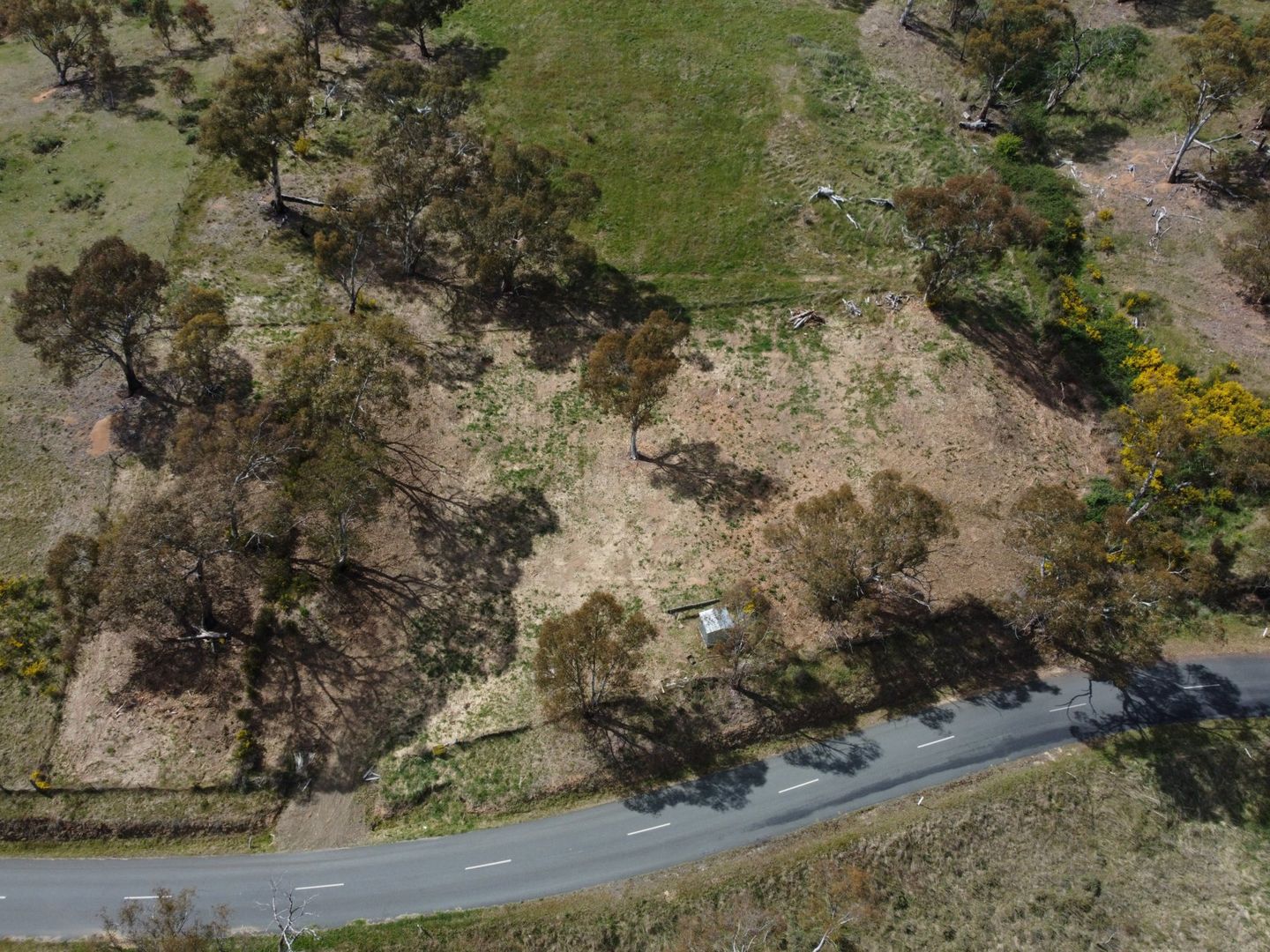 90 Old Omeo Highway, Omeo VIC 3898 | Domain