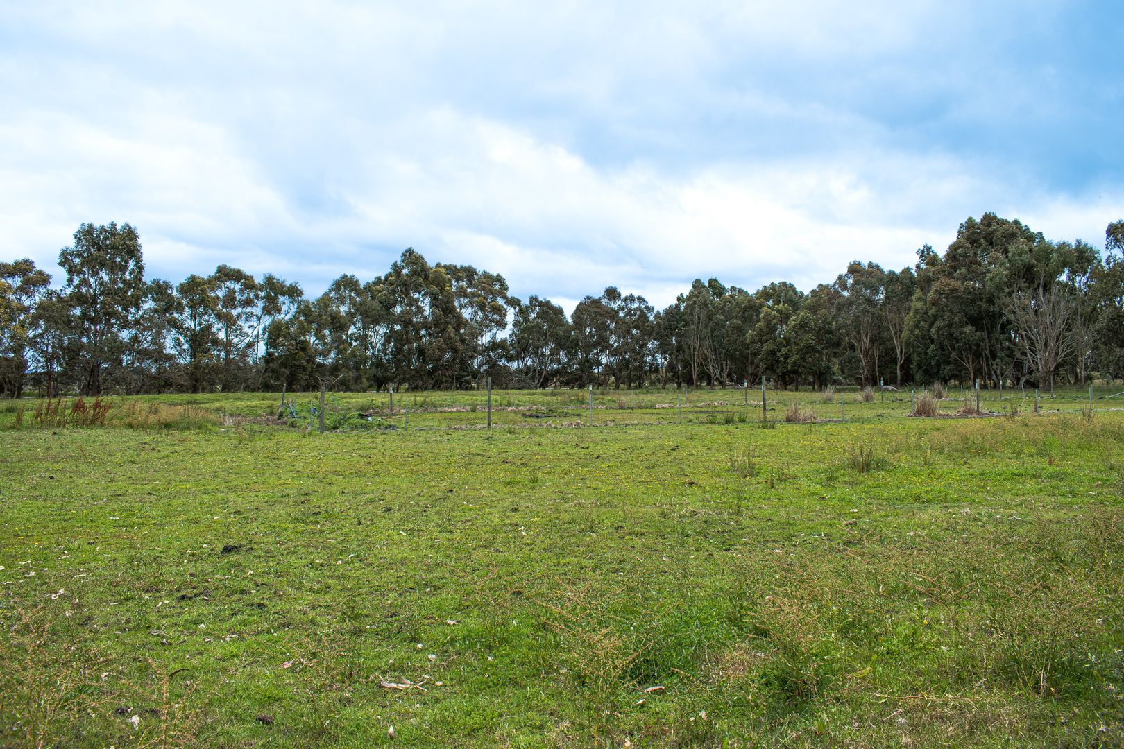 79 Lake Sadie Road, Youngs Siding WA 6330 - Farm for Sale - $1,300,000